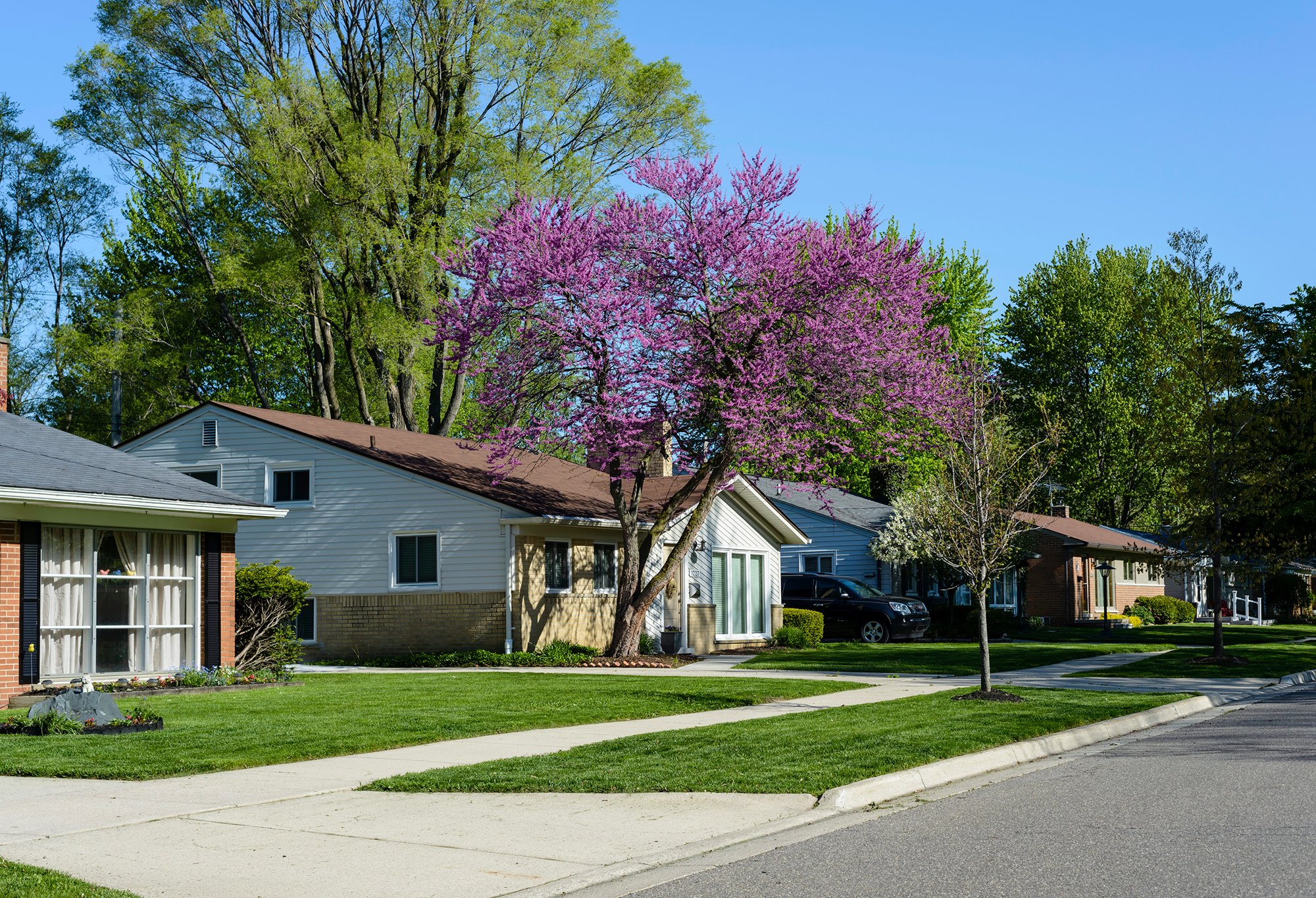 Detroit suburb to elect its first Arab-American mayor