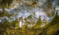 Cheetos bag causes environmental disruption in fragile cave ecosystem ...