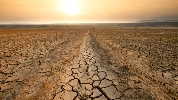 Over 3/4th of Earth's land became drier in last 30 years: UN