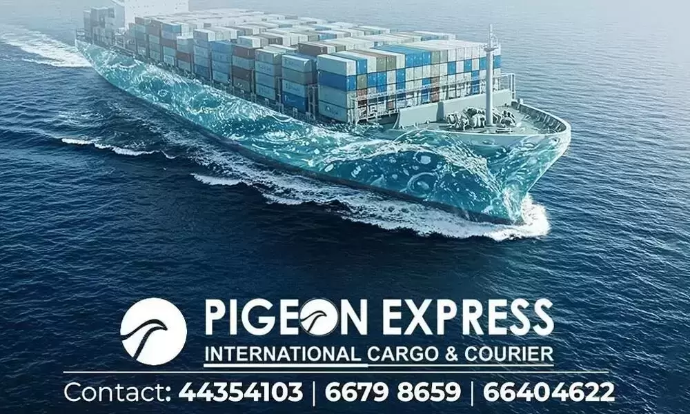 Pigeon Cargo: The Perfect Logistics Partner!