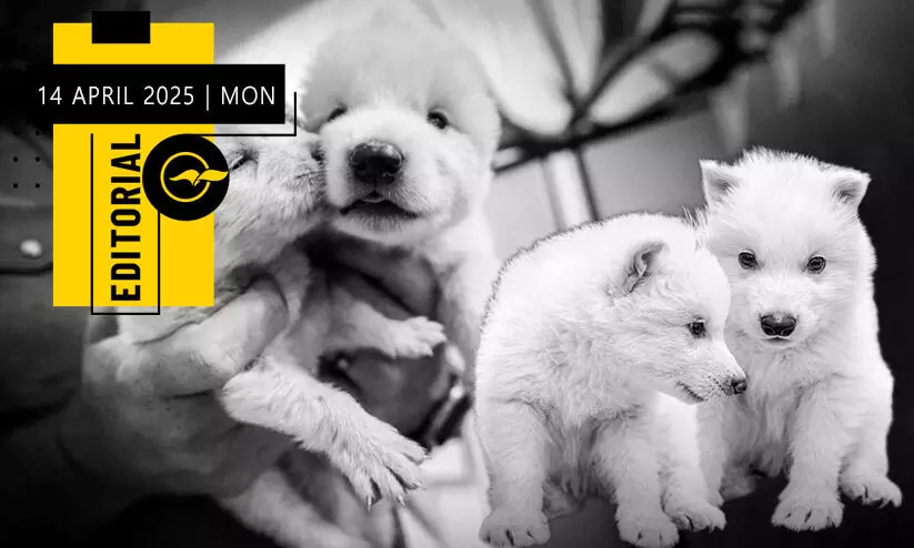 Dire Wolves’ de-extinction