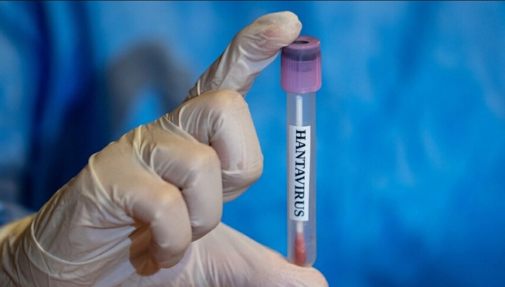 Saudi health authority monitors Hantavirus reports, says risk to ...